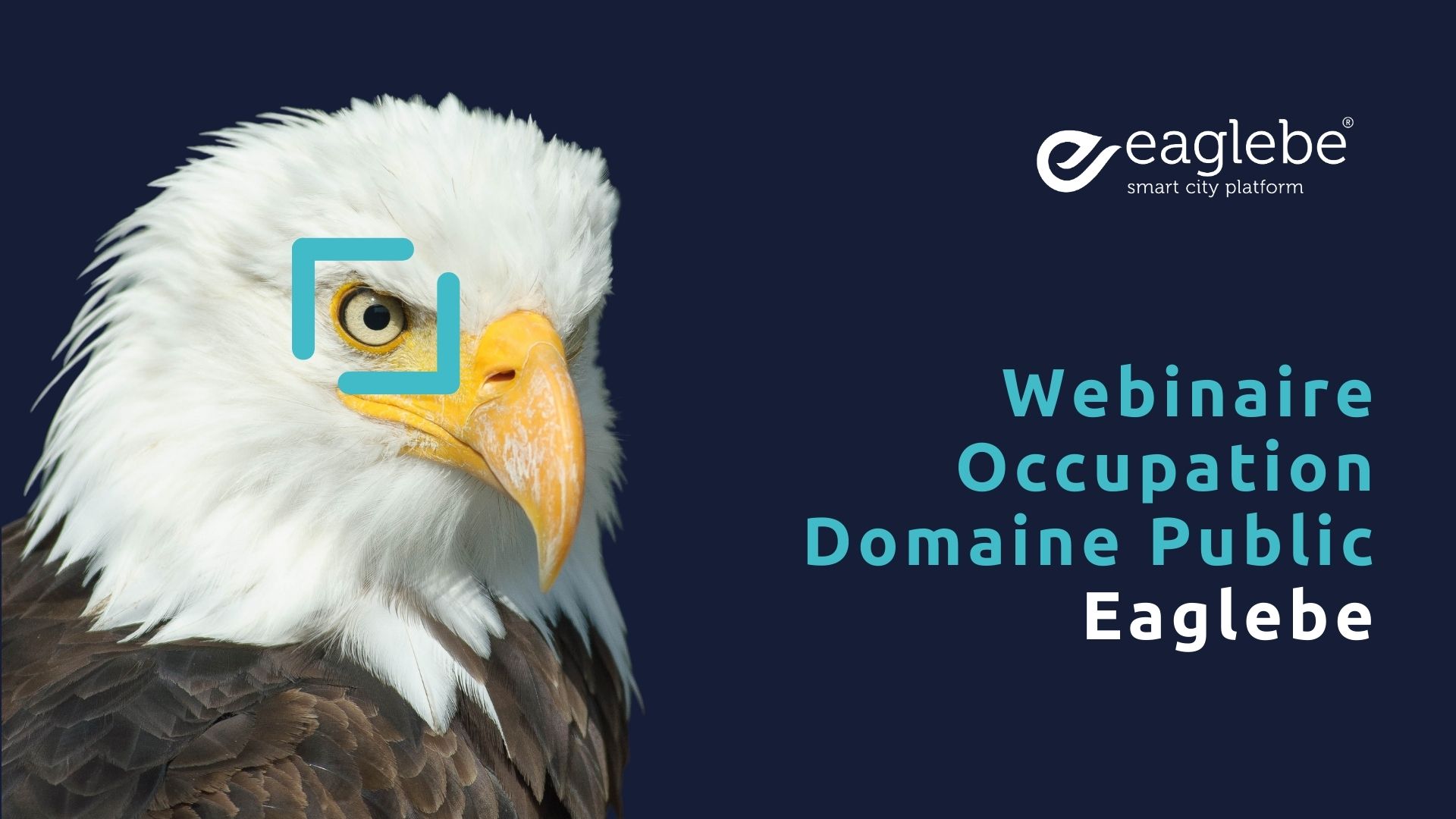 Webinaire Occupation Domaine Public - Eaglebe